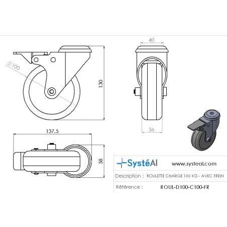 Wheel 100 kg load - with brake - Systéal
